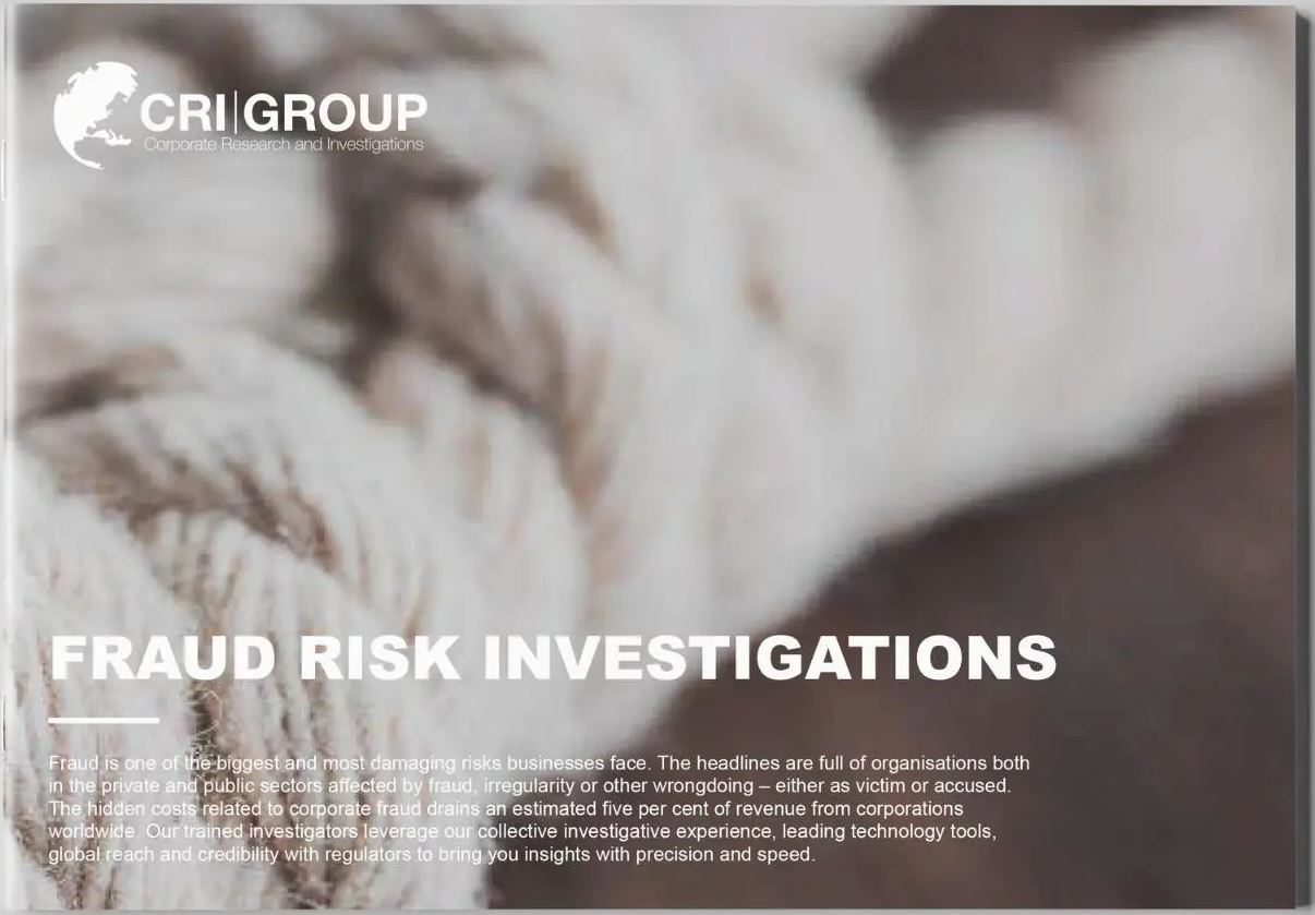 Fraud Prevention and Investigations: Mitigate Business Risks